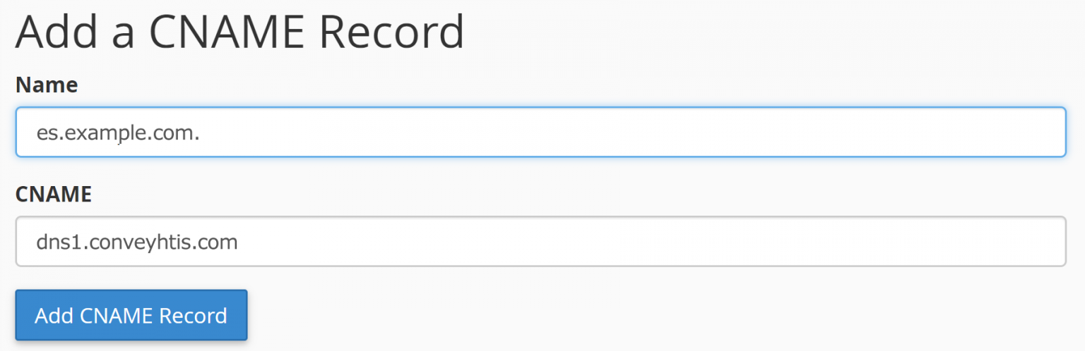 How to add CNAME records in DNS manager? ⭐️ ConveyThis
